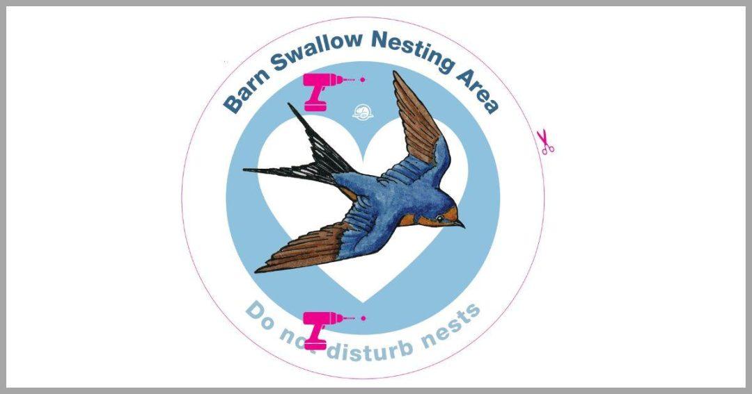 Building Your Barn Swallow Nest Egg